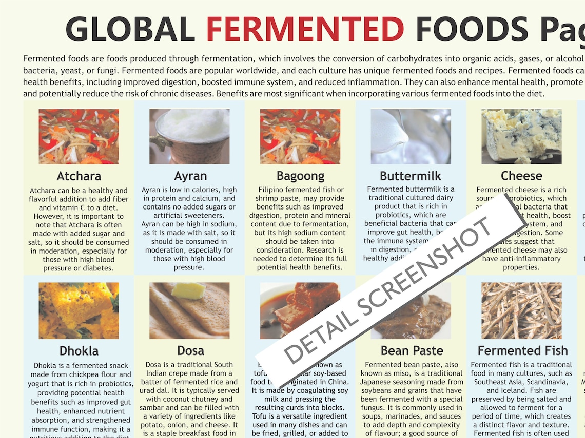 Fermented Foods Chart, Digital Download PDF, Global Fermentation, Food ...