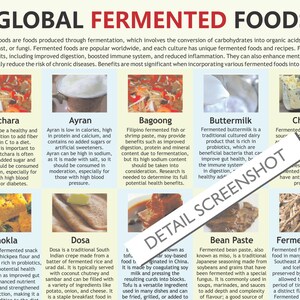 Fermented Foods Chart, Digital Download PDF, Global Fermentation, Food ...