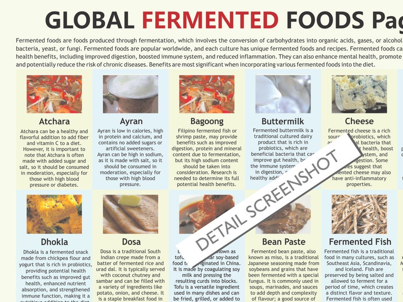 Fermented Foods Chart, Digital Download PDF, Global Fermentation, Food ...