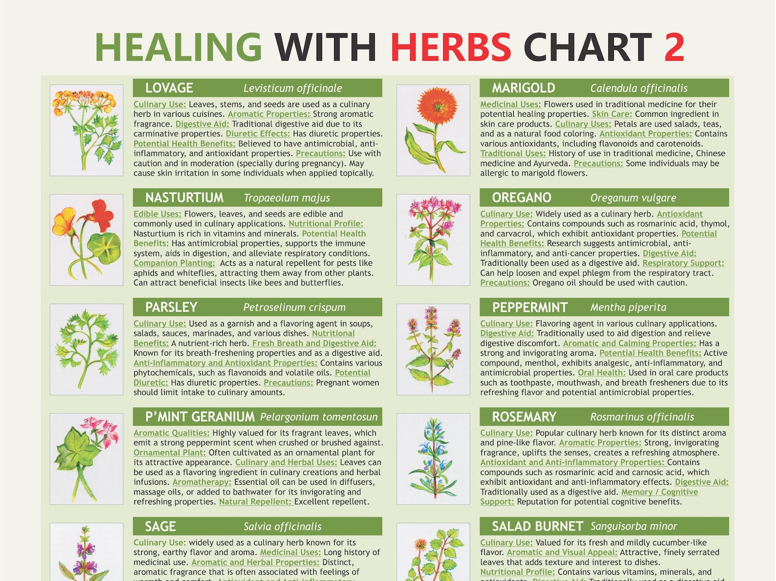 Healing Herbs Chart Bundle: Culinary & Medicinal Reference (digital PDF ...