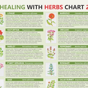 Healing Herbs Chart Bundle | Medicinal and Culinary Herbal Medicine ...
