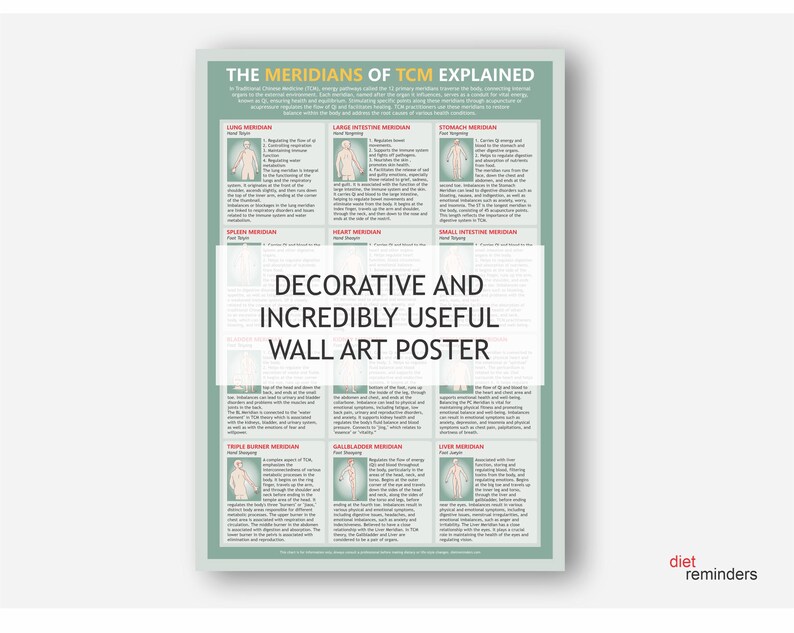 TCM Meridians A3 Poster: Chinese Medicine Chart (digital Download) - Etsy