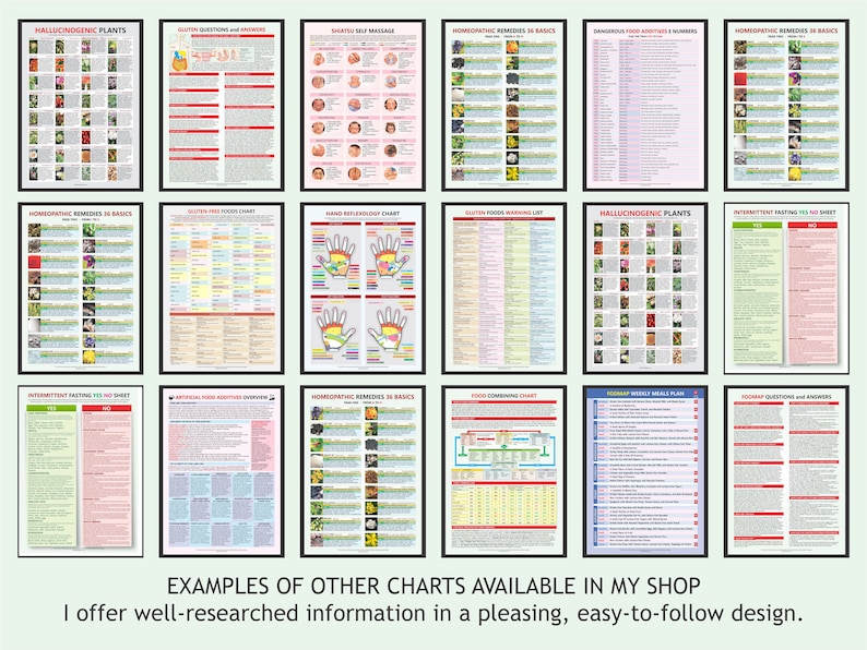 Bristol Stool Chart Digital Download PDF - Etsy Australia