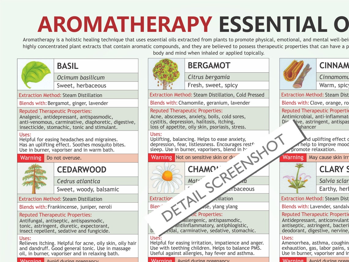Aromatherapy Essential Oil Chart: Uses & Blends (digital Download) - Etsy