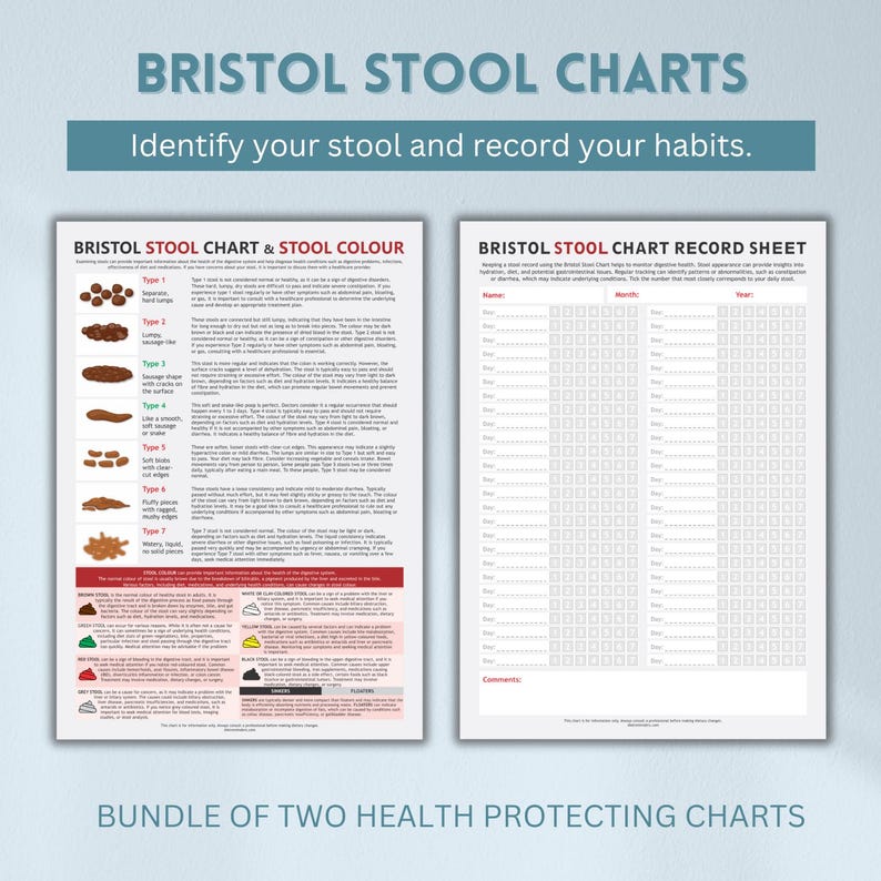 Bristol Stool Chart Plus Record Sheet: Stool Health (PDF Download) - Etsy