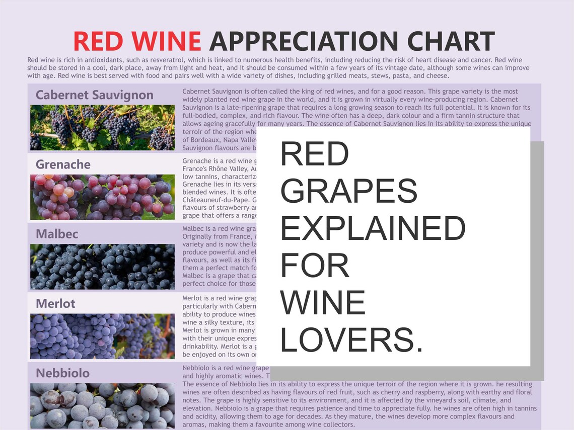 Red Grapes Chart, Digital Download PDF, Ed Grape Varieties, Wine Lover ...