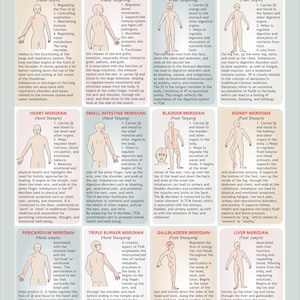 Traditional Chinese Medicine Meridians Chart | TCM Acupuncture ...
