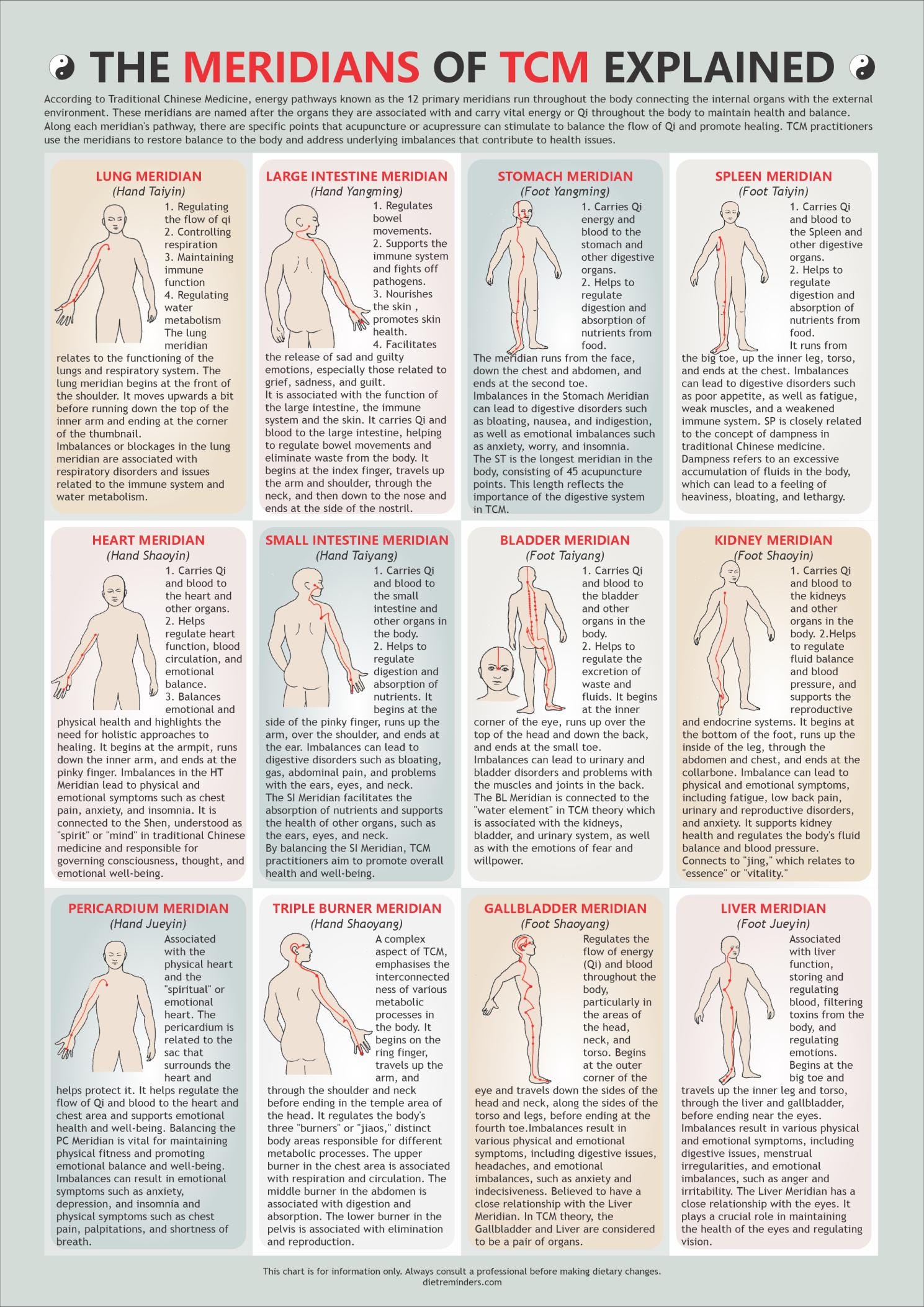 TCM Meridians Chart, Digital Download PDF, Chinese Medicine, Meridian ...