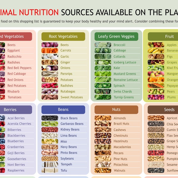 Nutrition Chart - Etsy
