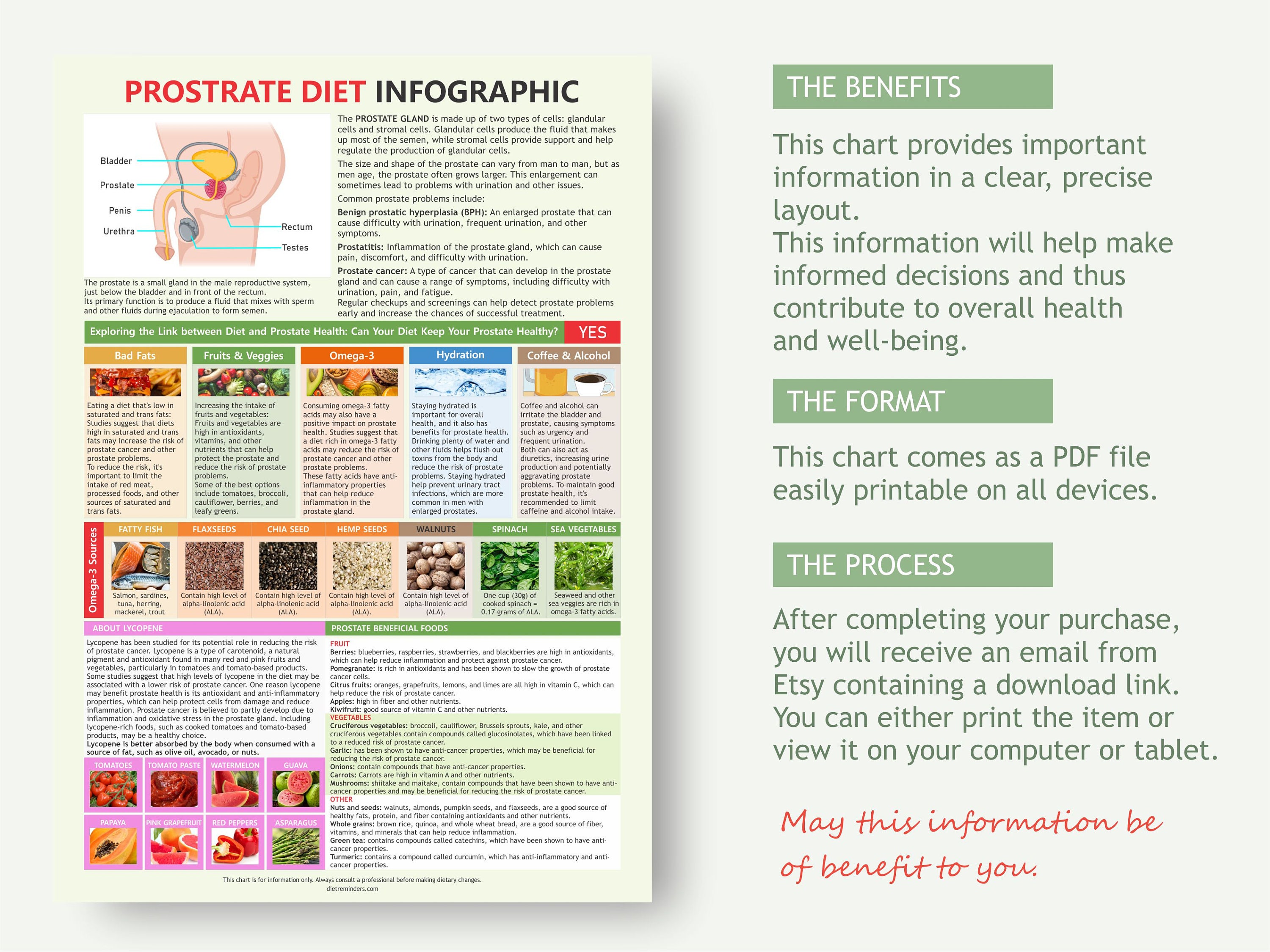 Prostate Infographic Chart Digital Download PDF Prostate - Etsy Australia