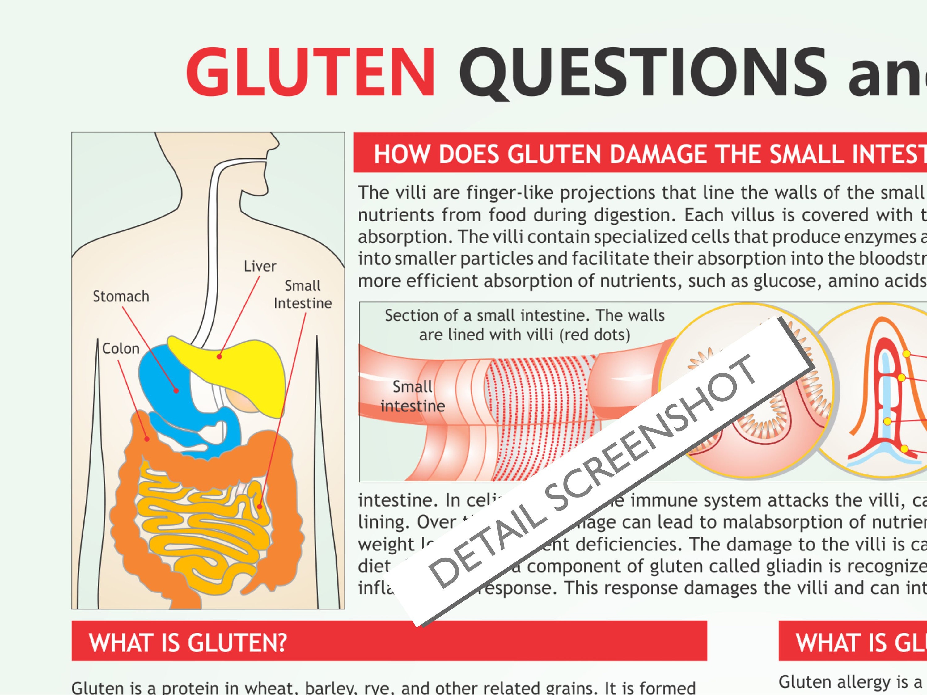 Gluten-free Food Chart, Digital Download PDF, Gluten Free Products ...