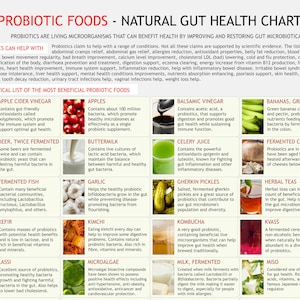 PROBIOTIC Foods Chart, Digital Download PDF, High Probiotic Food ...