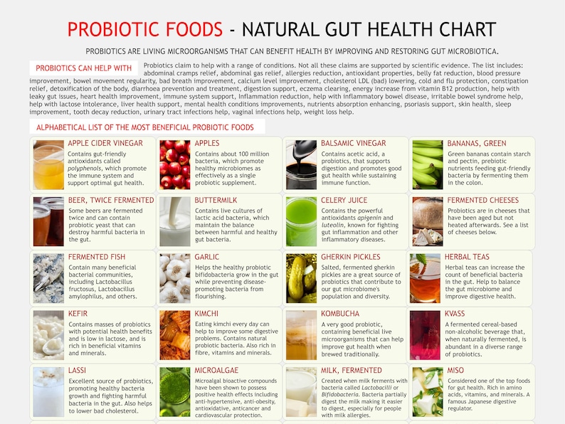 PROBIOTIC Foods Chart, Digital Download PDF, High Probiotic Food ...