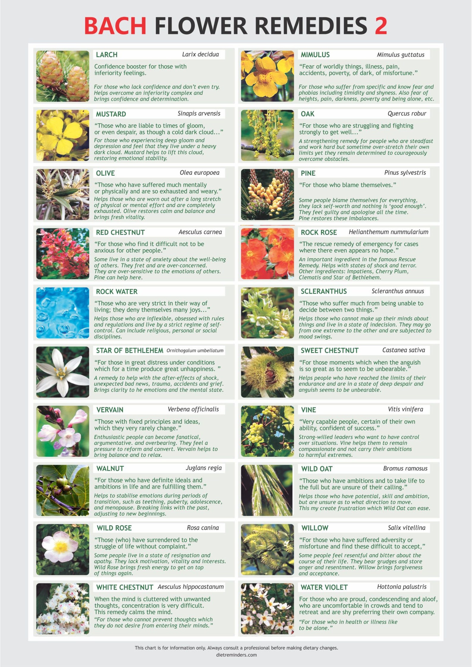 Bach Flower Remedies, Digital Download PDF, Rescue Remedy, BFR Essences ...