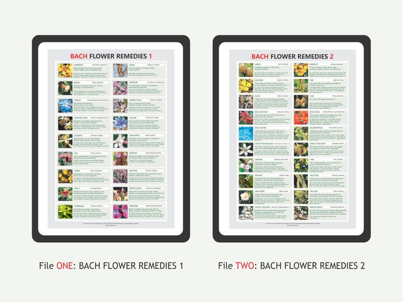 Bach Flower Remedies, Digital Download PDF, Rescue Remedy, BFR Essences ...