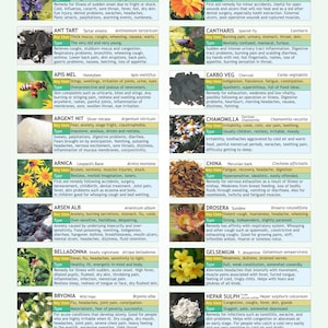 HOMEOPATHY Information Chart, Digital Download PDF, Homeopathy Chart ...