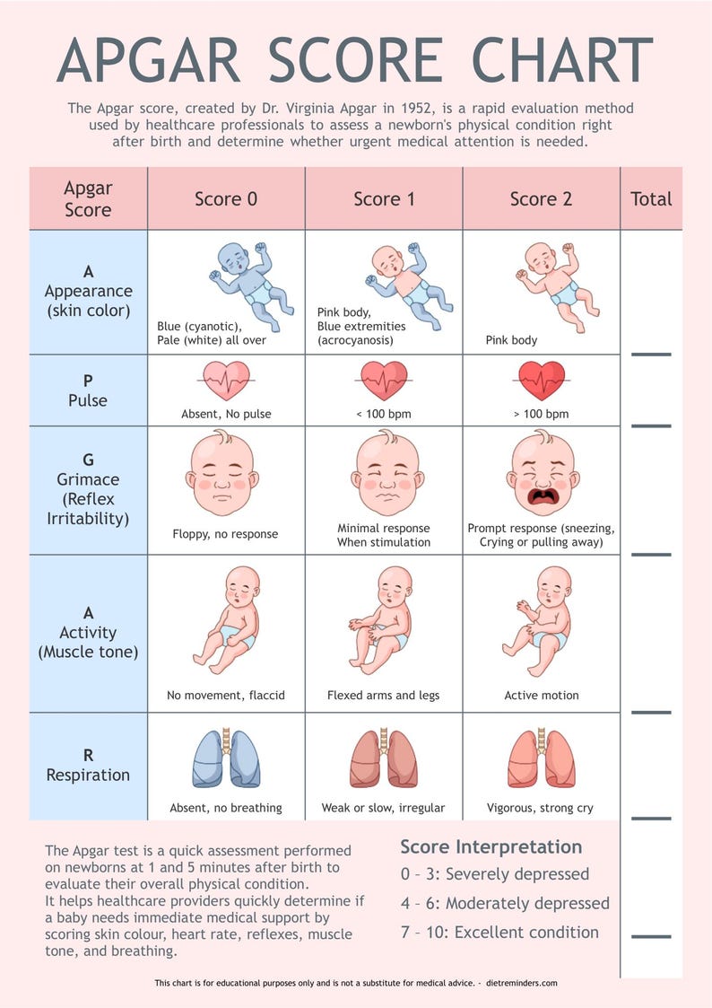 Apgar Score Chart Printable – Newborn Health Assessment Tool for Midwives, Birth Educators ...
