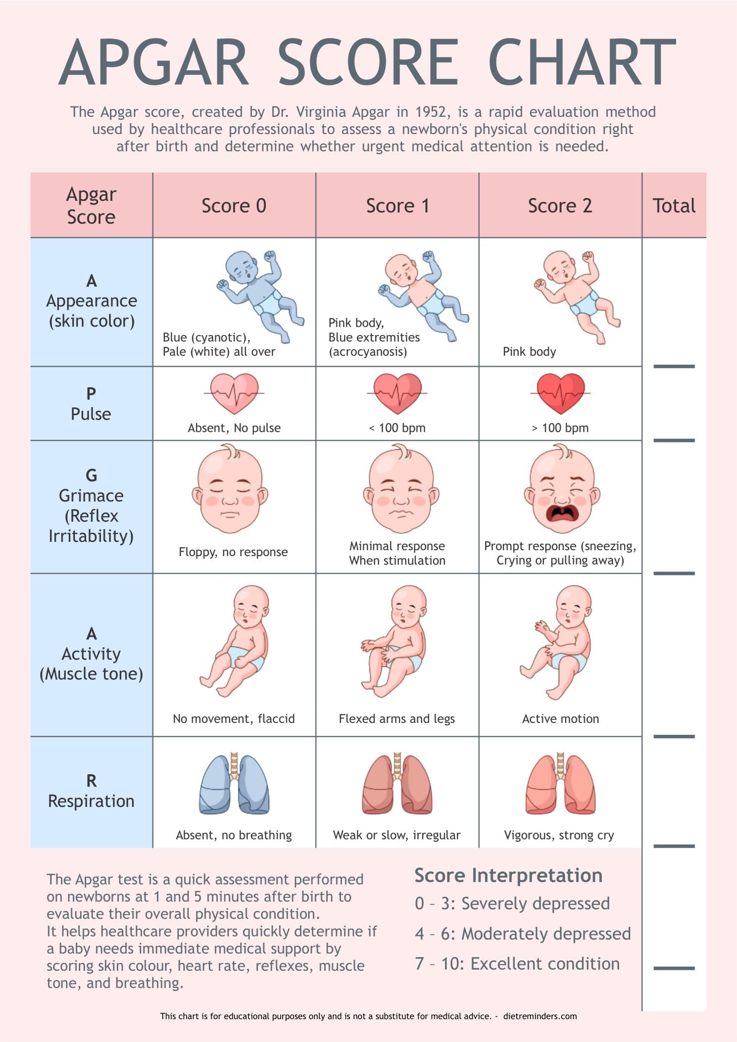 Apgar Score Chart: Newborn Health Assessment Tool (PDF Digital Download ...