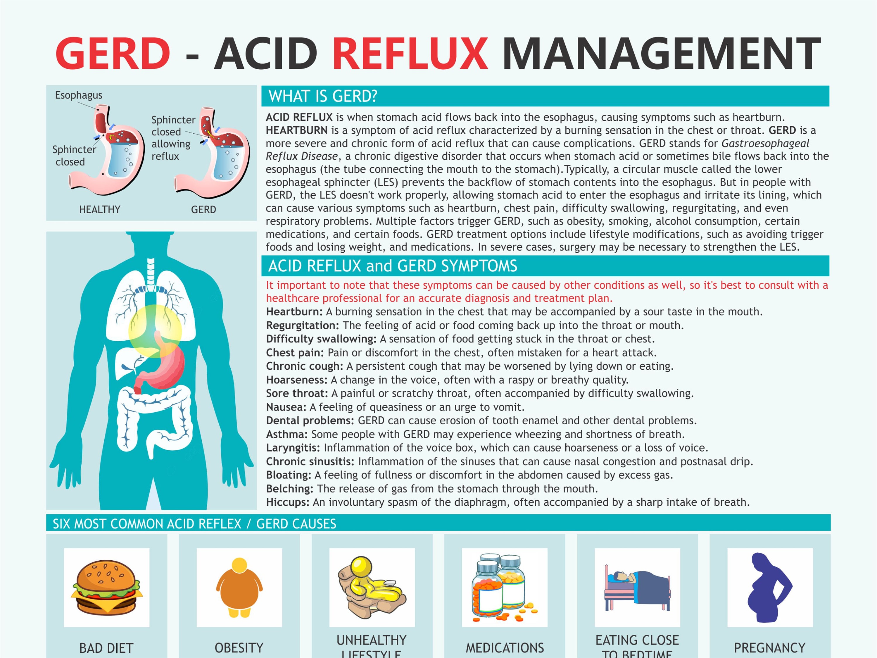 GERD Acid Reflux Management Chart: Diet & Symptoms Guide (A4 Printable ...