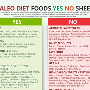 PALEO Diet Food Chart, Digital Download PDF, Paleo Diet List, Paleo ...
