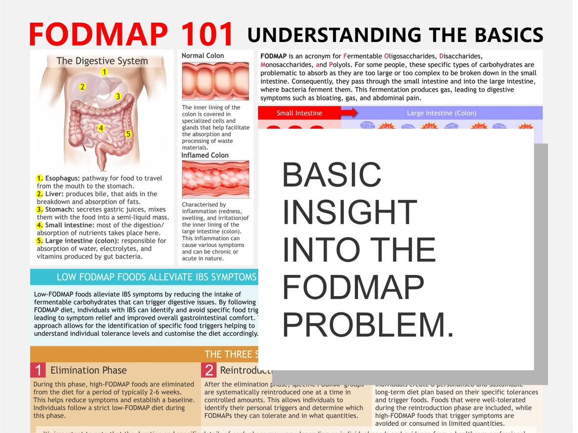 FODMAP 101, Understanding Fodmap, IBS, Digital Download, Irritable ...