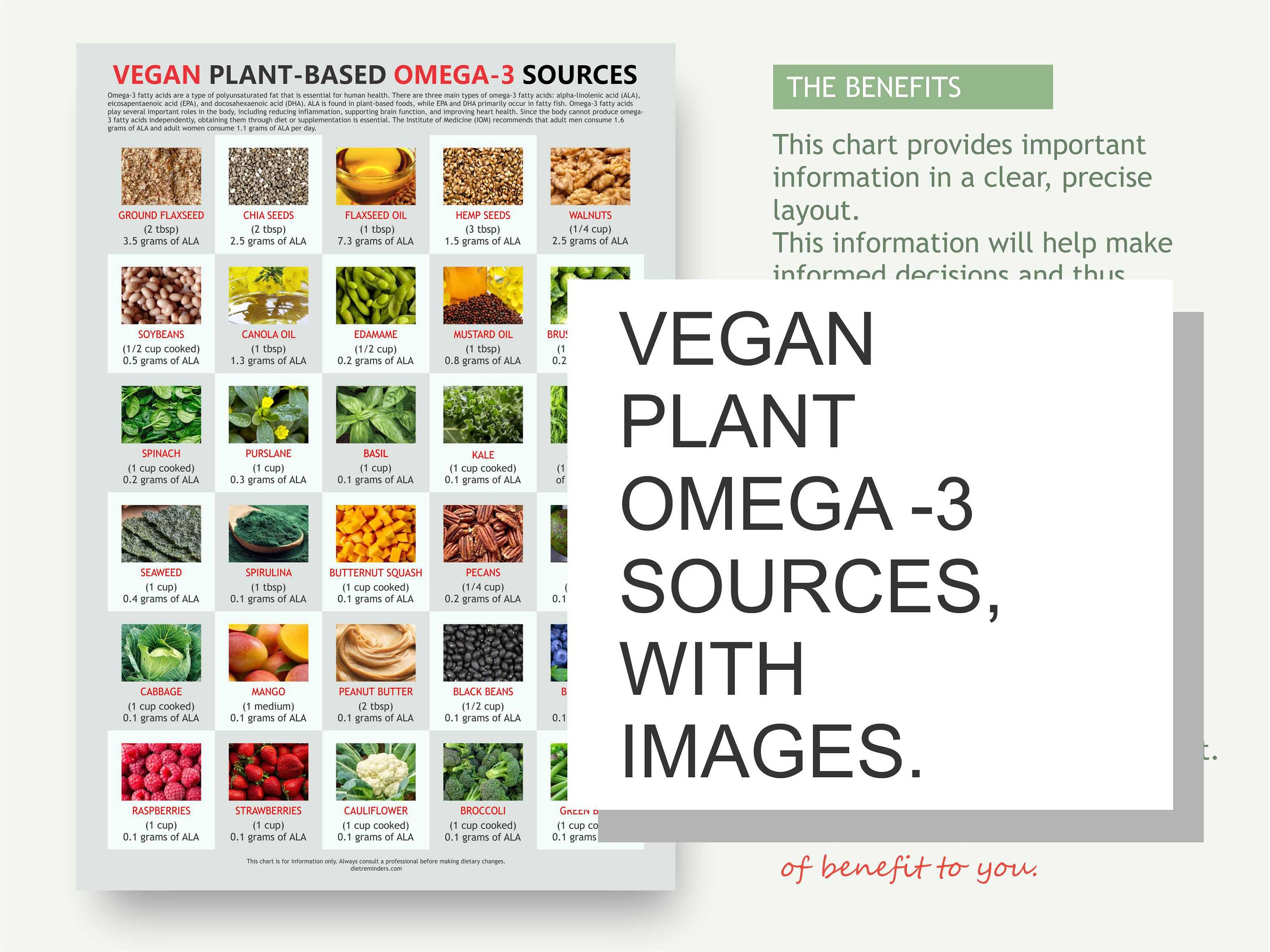 Vegan Omega-3 Food Chart: Plant-based Sources (digital Download) - Etsy