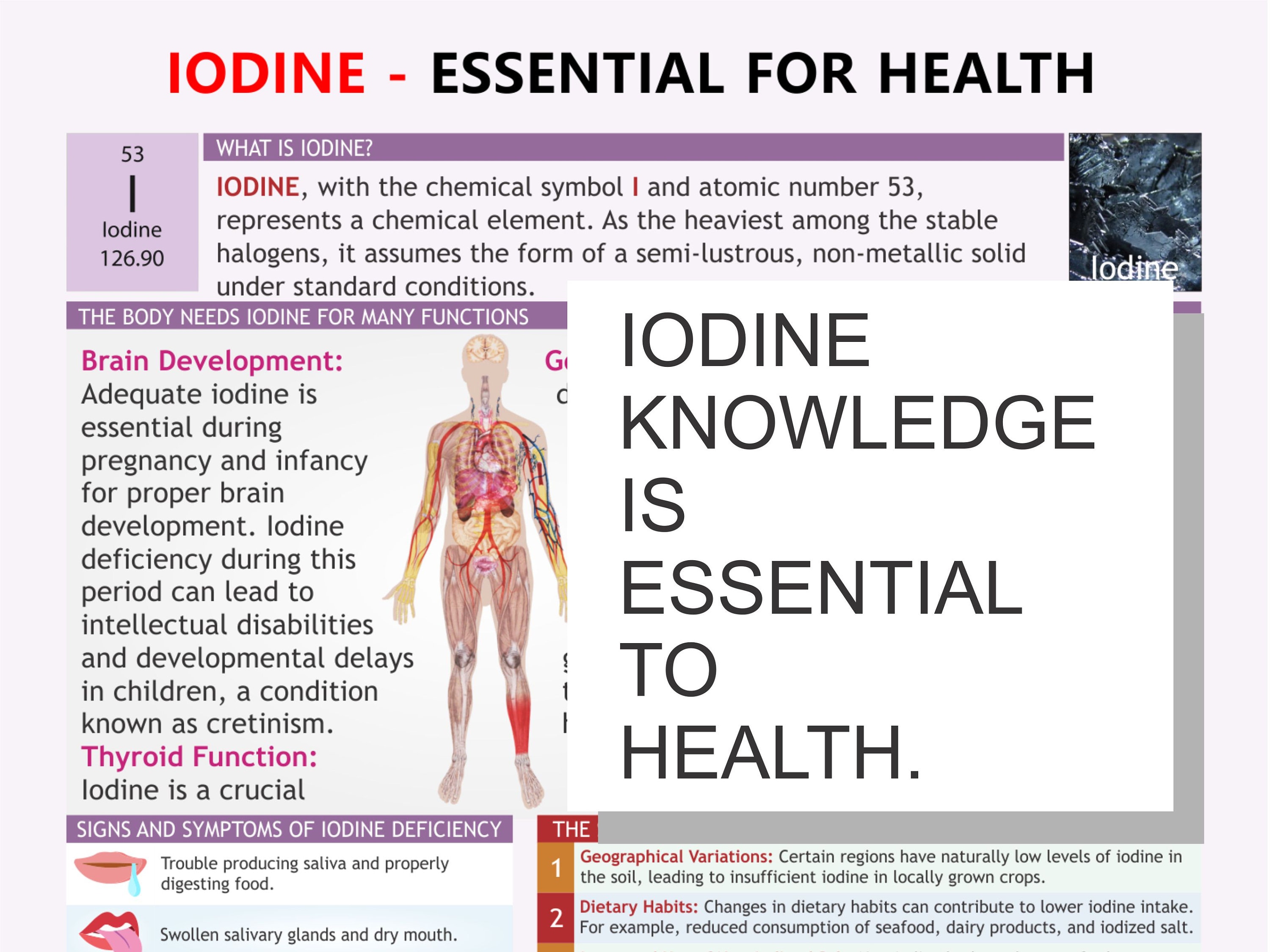 Iodine Chart, Digital Download PDF. Iodine Plays a Vital Role in the Human Body. Iodine ...