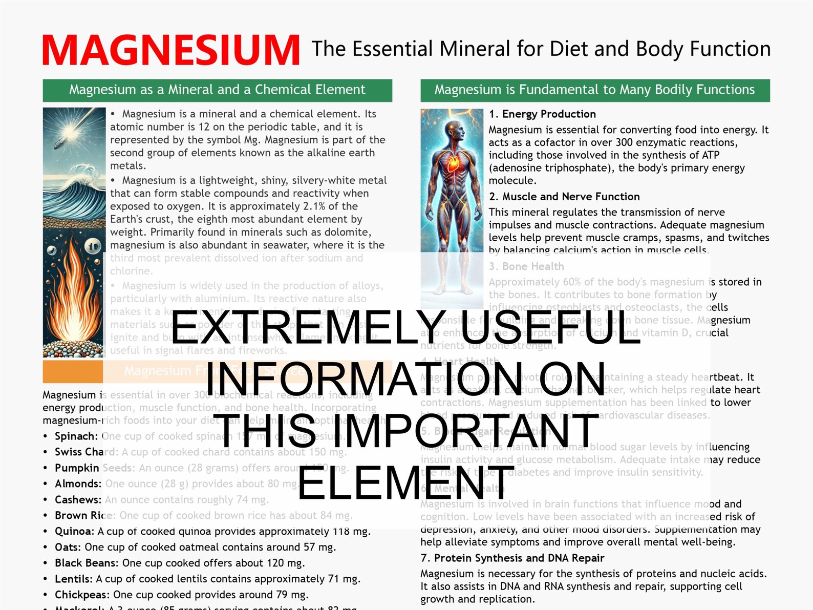 Magnesium Health Benefits Chart – Comprehensive Nutritional Overview ...
