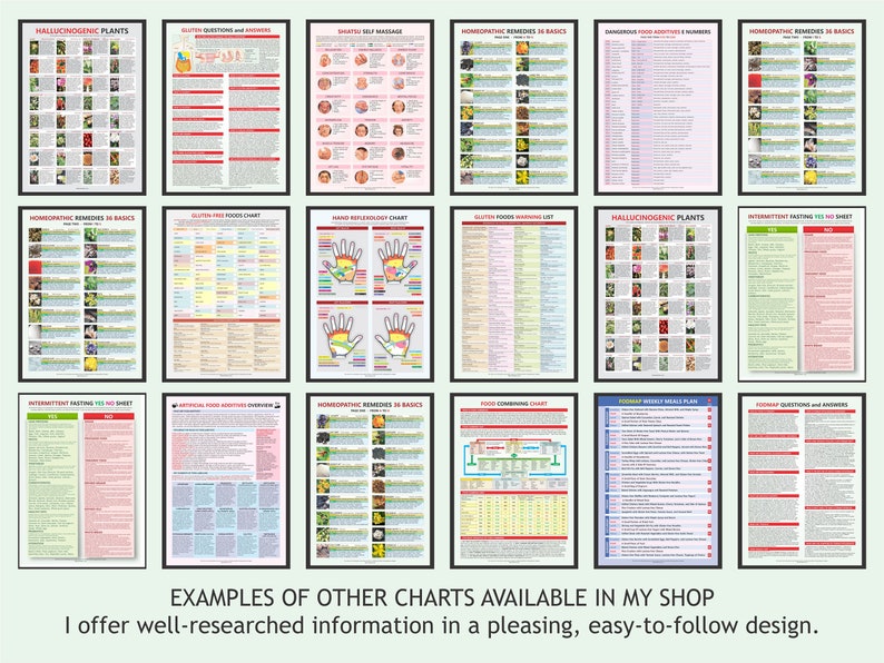 PROBIOTIC Foods Chart Digital Download PDF - Etsy Australia