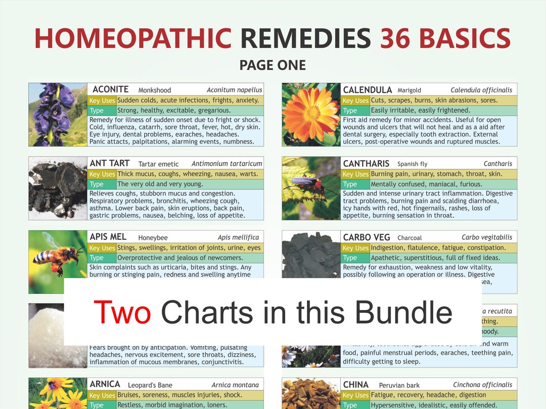 HOMEOPATHY Information Chart, Digital Download PDF, Homeopathy Chart ...
