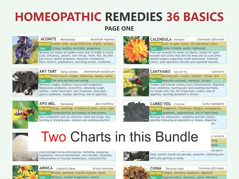 HOMEOPATHY Information Chart, Digital Download PDF, Homeopathy Chart ...
