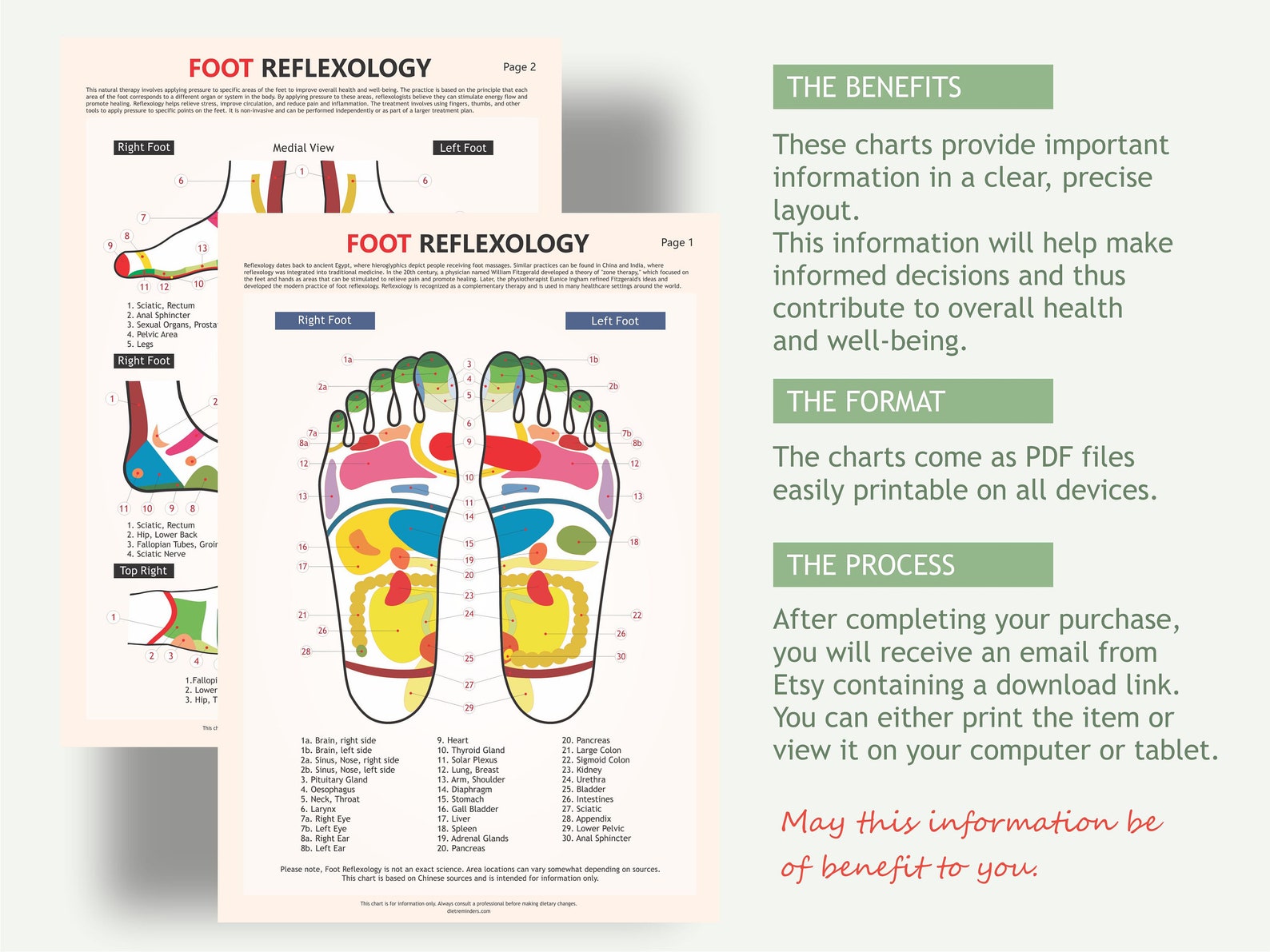 Foot Reflexology Chart, Digital Download PDF, Reflexology Chart ...