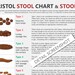 Bristol Stool Chart, Digital Download PDF, Stool Health, Healthy Poop ...