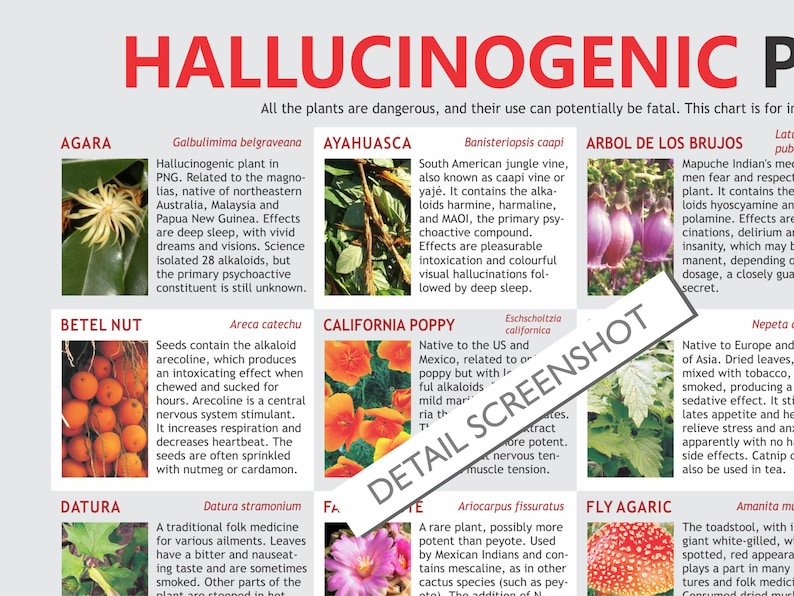 Hallucinogenic Plant Chart, Digital Download PDF, Trippy Plants ...