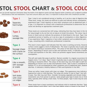 Bristol Stool Chart, Digital Download PDF, Stool Health, Healthy Poop ...
