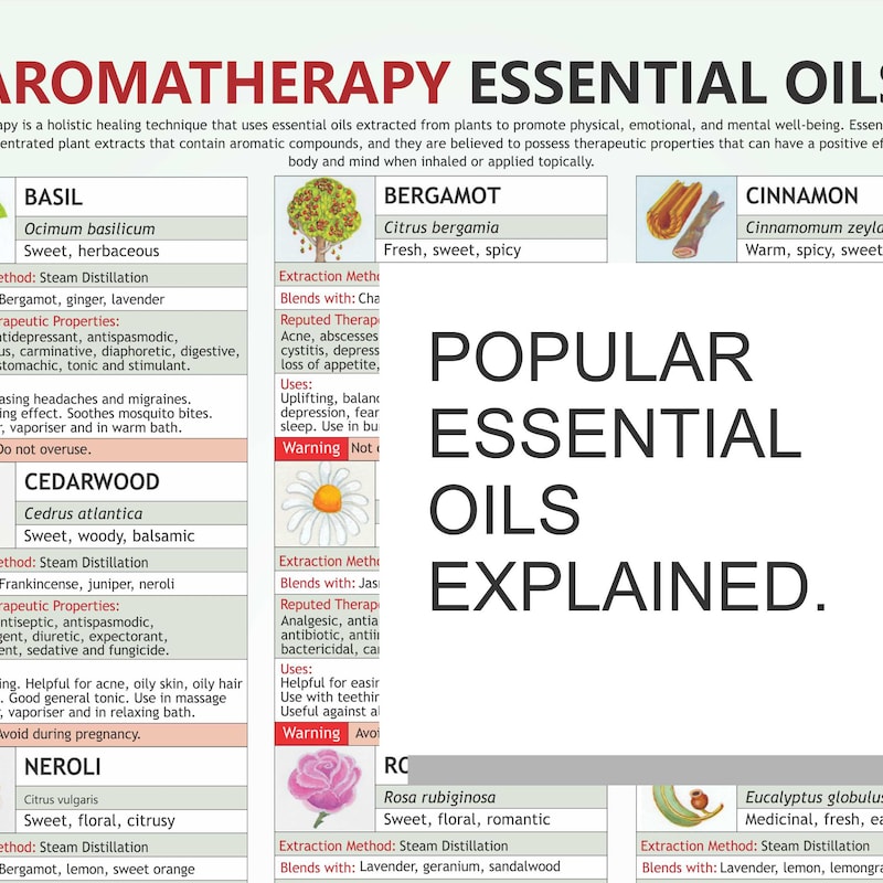 Aromatherapy Chart - Etsy