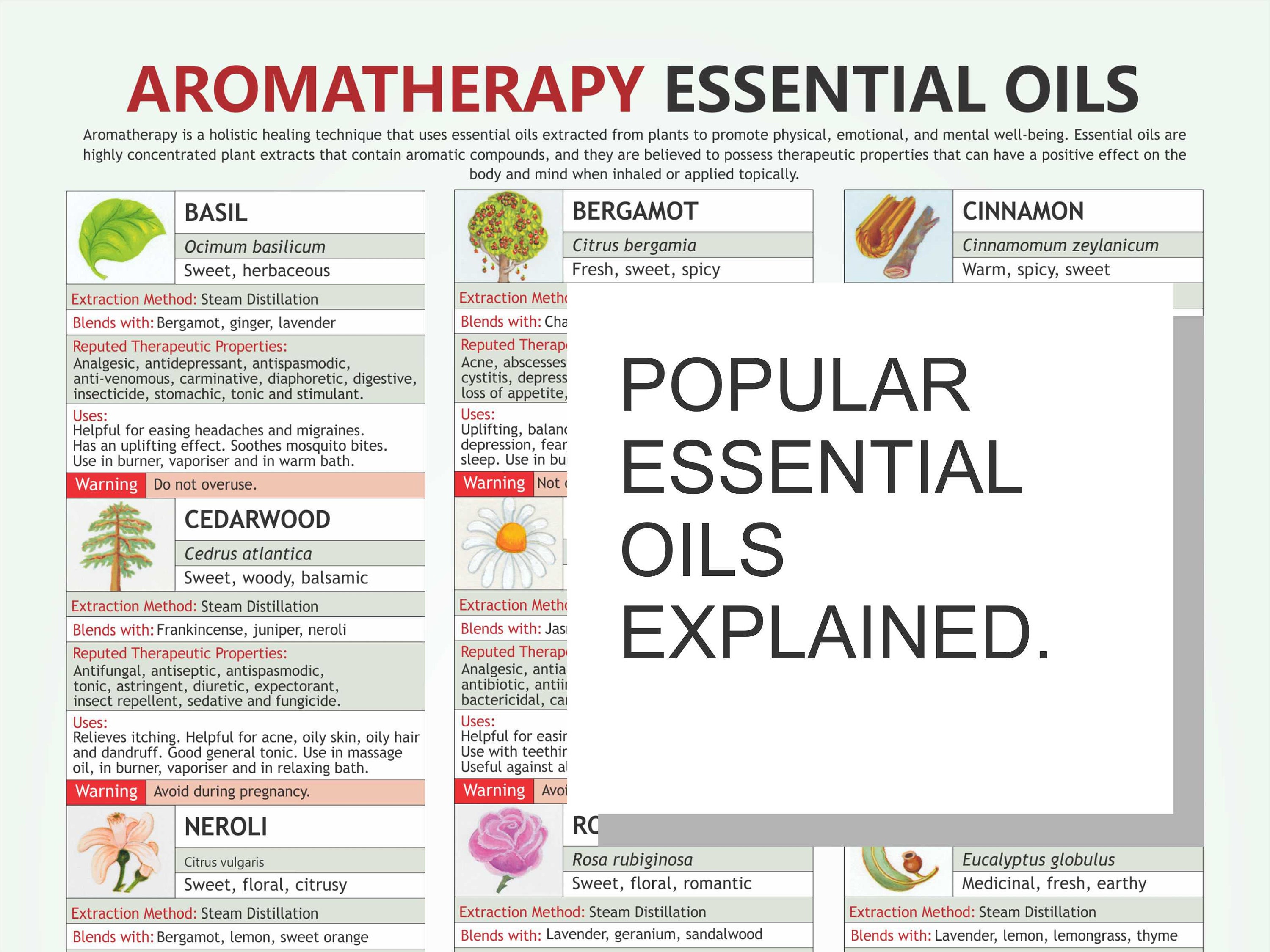 Aromatherapy Essential Oil Chart, Digital Download PDF, Essential Oil ...
