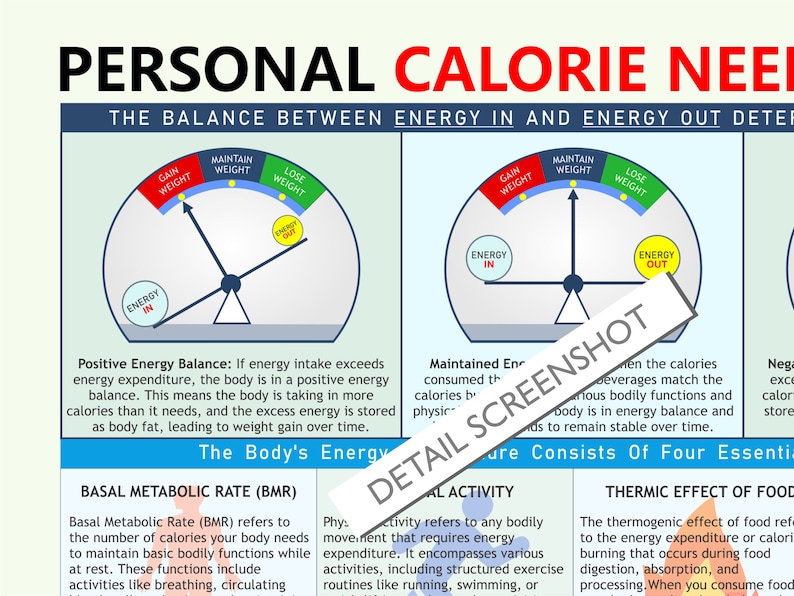 Personal Calorie Needs Chart: Weight Loss Planner (PDF) - Etsy