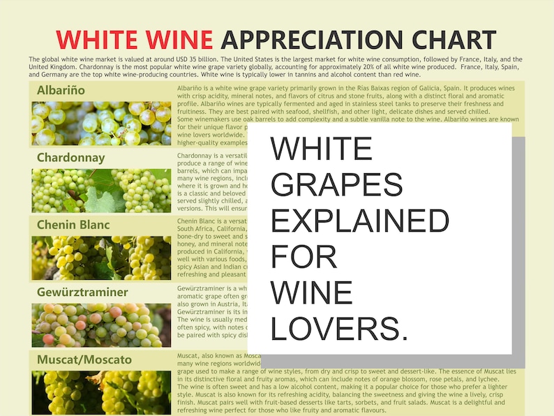 White Wine Chart, Digital Download PDF, Wine Lover Gift, Wine Label ...