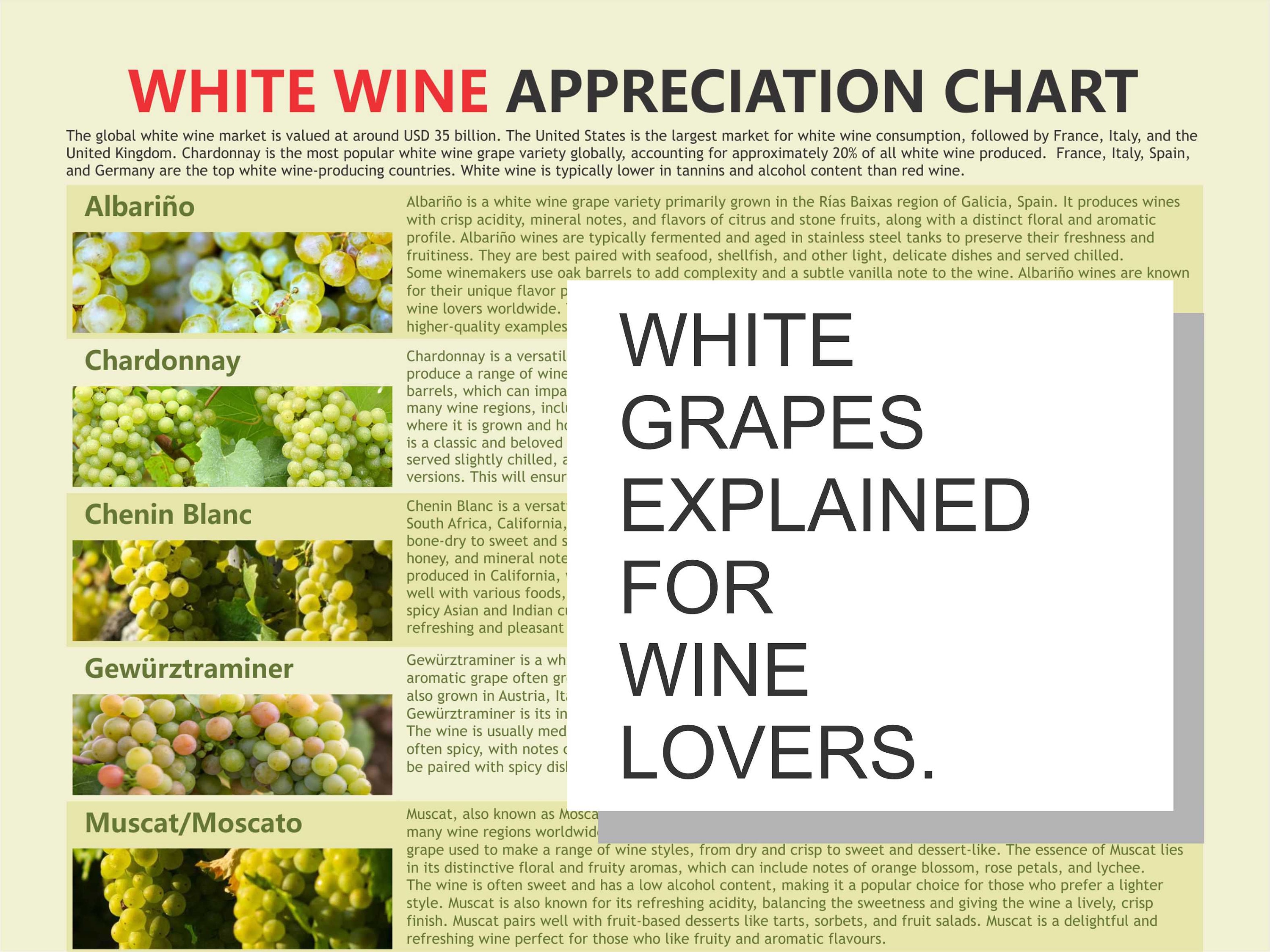 White Wine Chart, Digital Download PDF, Wine Lover Gift, Wine Label ...