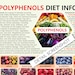 Polyphenol Food Chart: Antioxidant-rich Foods Guide (PDF Download A4 ...