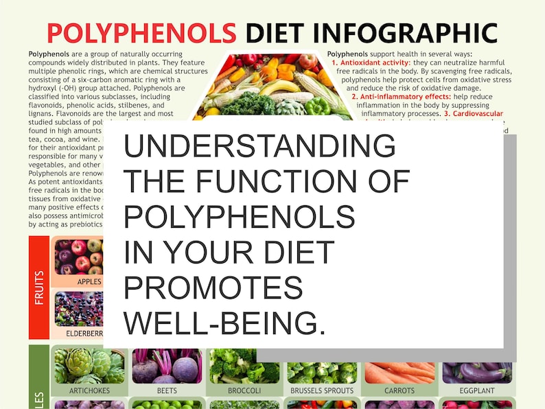 Polyphenol Food Chart: Antioxidant-rich Foods Guide (PDF Download A4 Size) - Etsy