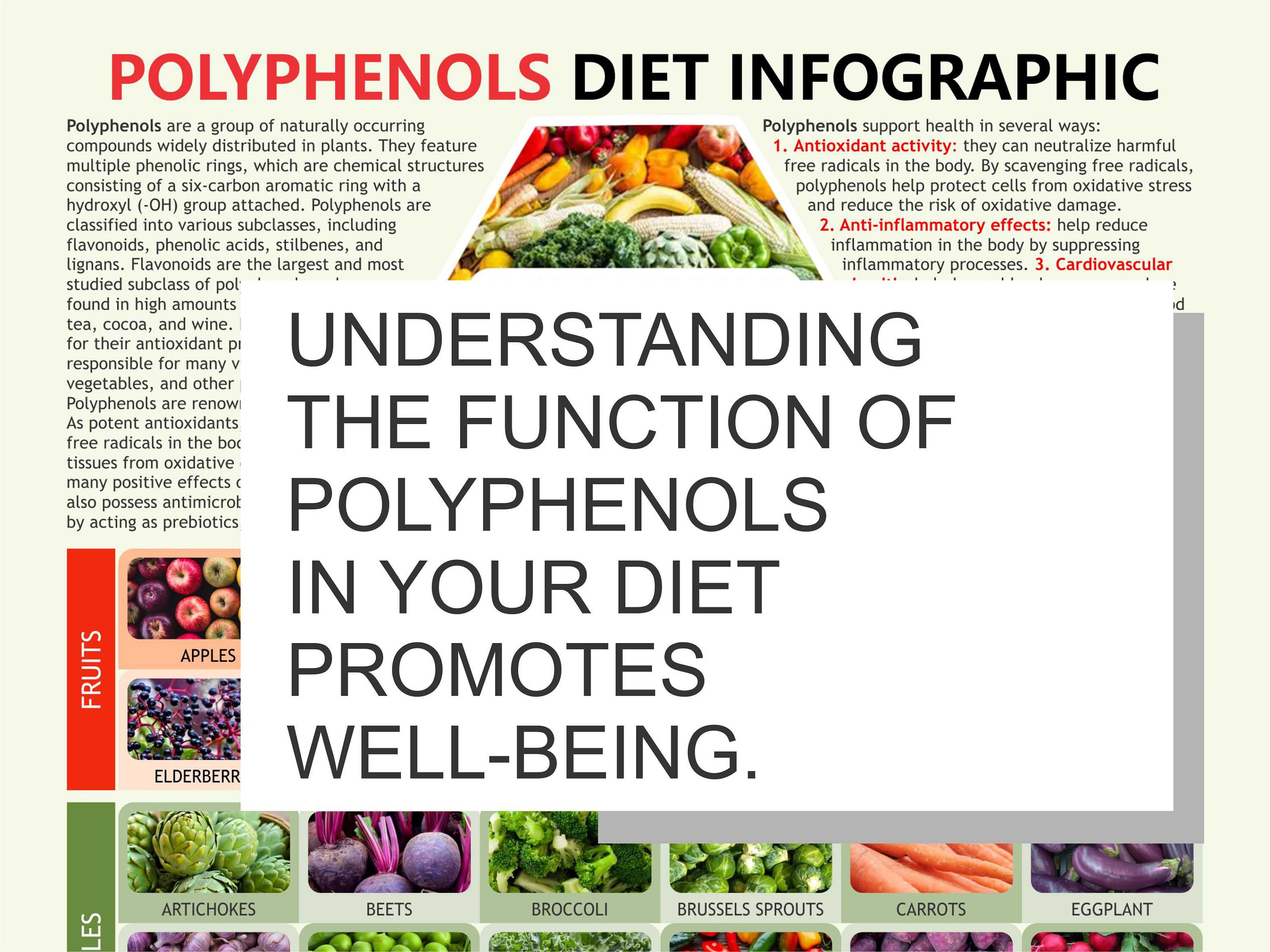 Polyphenol Food Chart, Digital Download PDF, Polyphenol Sources ...
