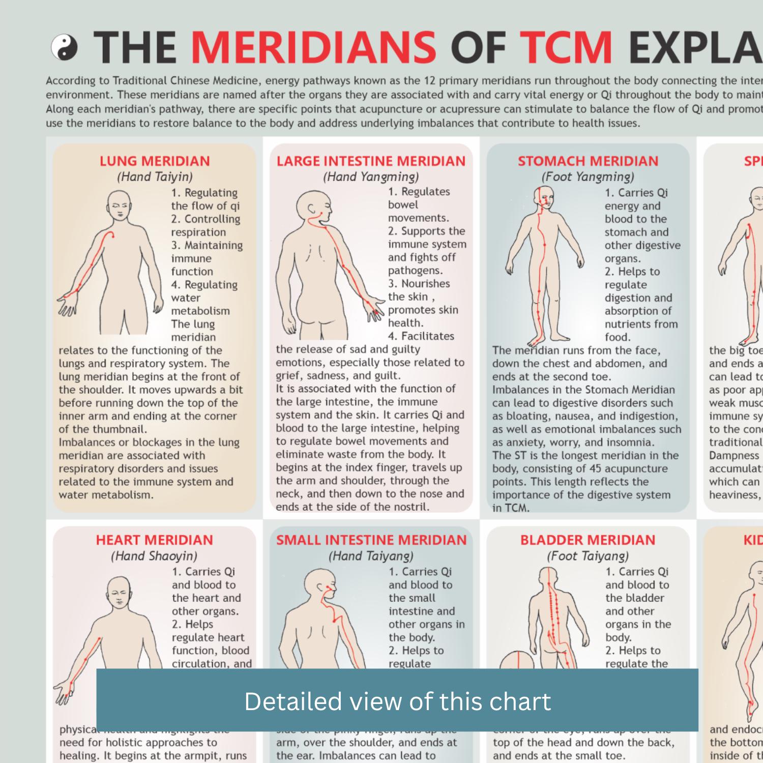 TCM Meridians Chart, Digital Download PDF, Chinese Medicine, Meridian ...