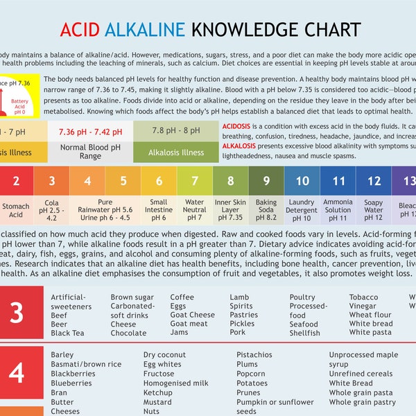 Acid Alkaline Food Chart - Etsy