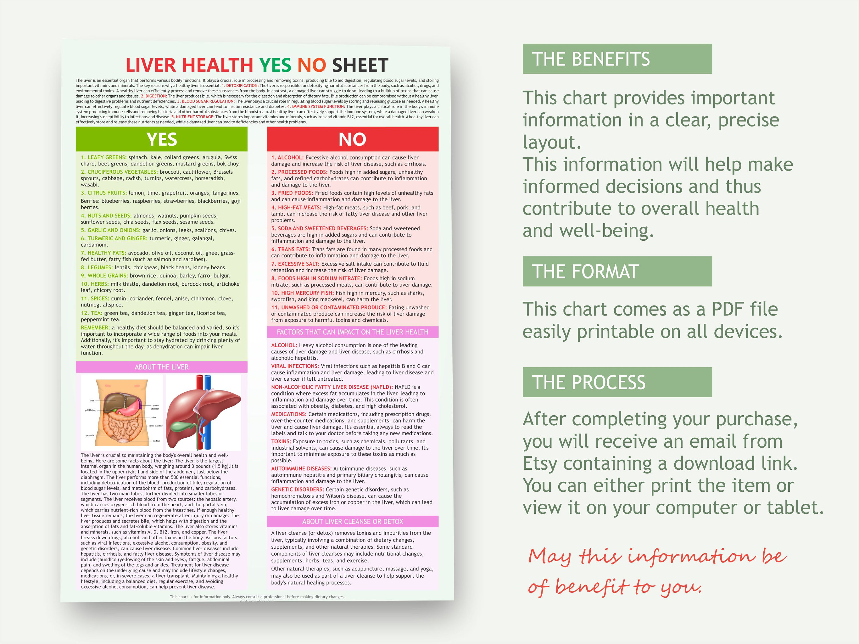 Liver Health: YES/NO Foods Chart (digital Download) - Etsy