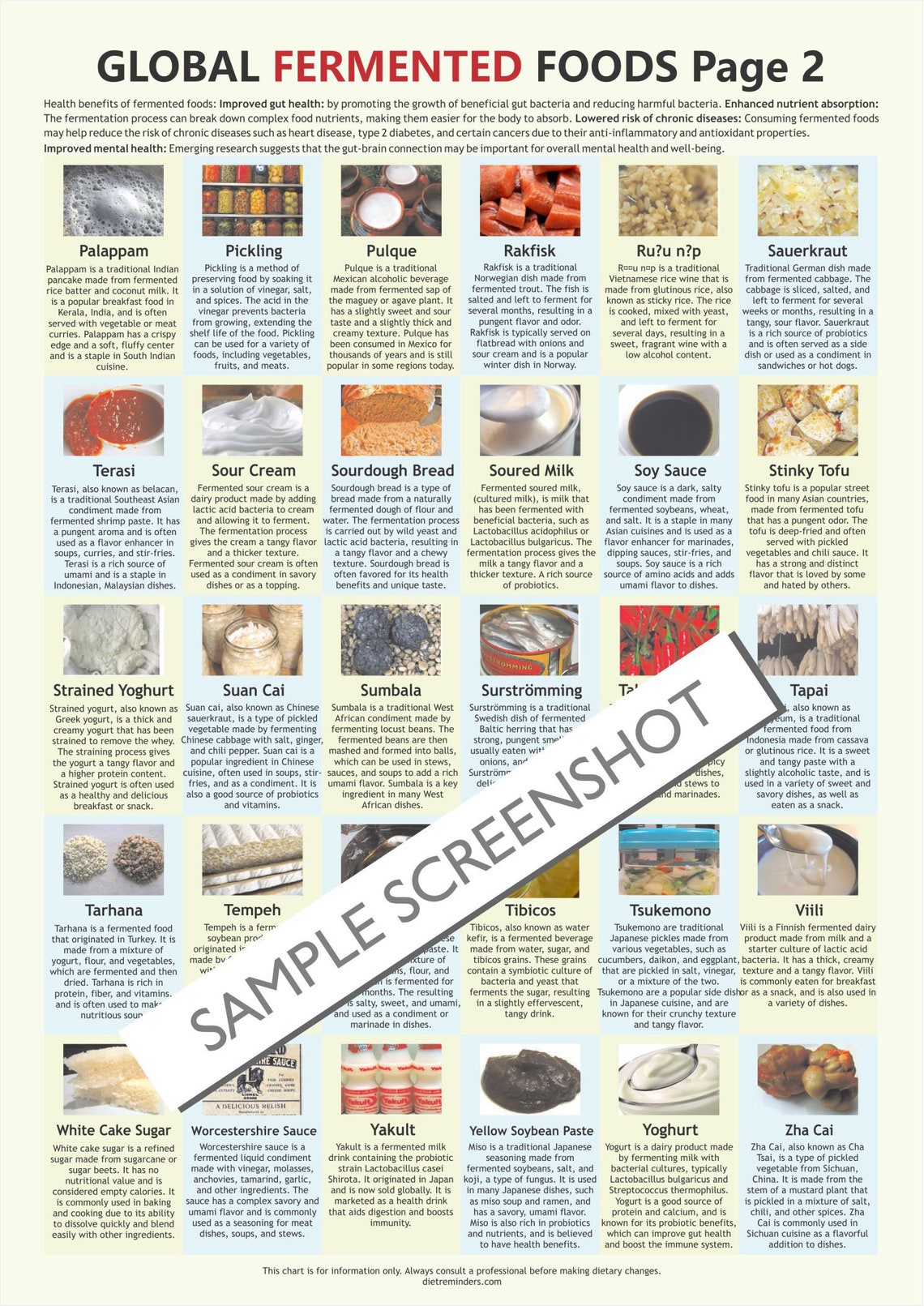Fermented Foods Chart, Digital Download PDF, Global Fermentation, Food ...