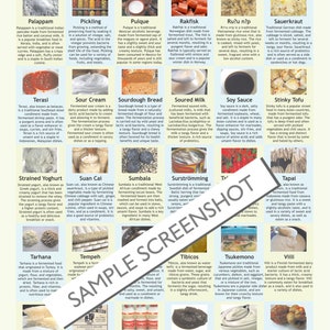 Fermented Foods Chart, Digital Download PDF, Global Fermentation, Food ...