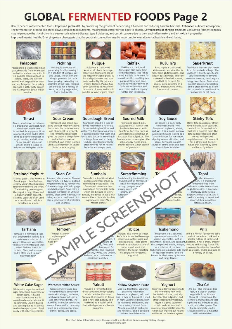 Fermented Foods Chart, Digital Download PDF, Global Fermentation, Food ...
