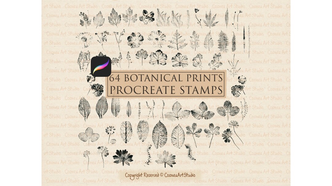 Procreate Stamps From Real Plant Prints - Digital Nature Art for ...
